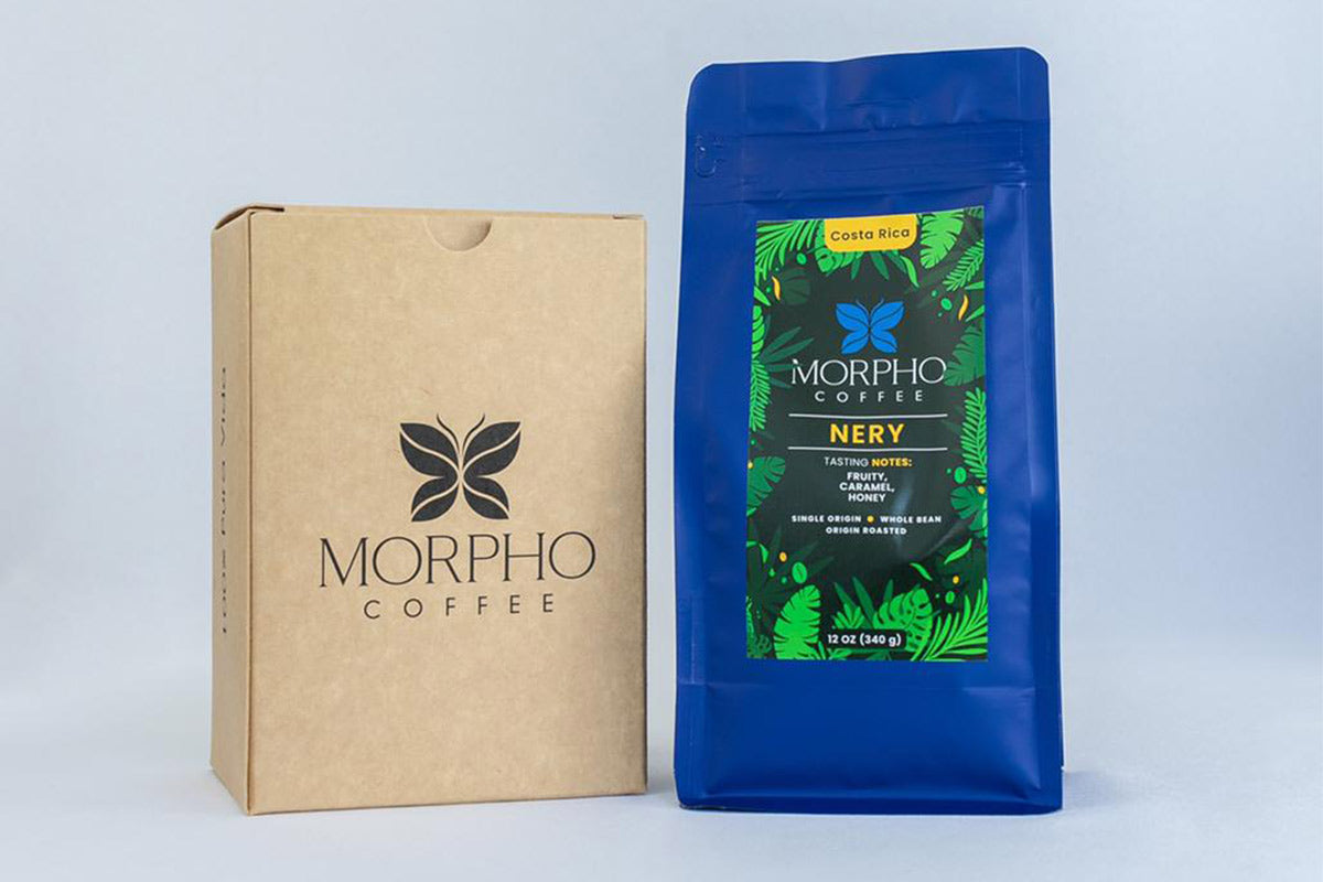 Nery – Morpho Coffee