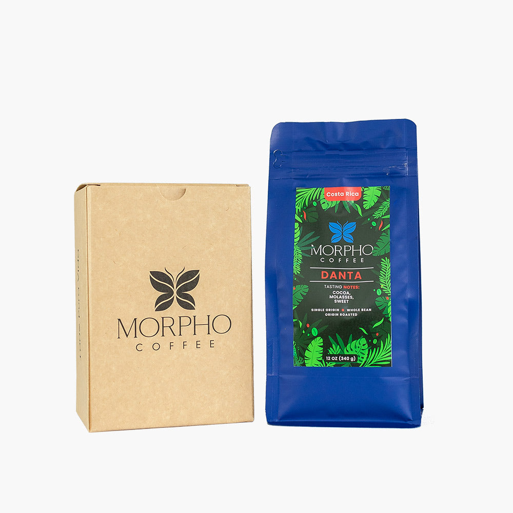 DANTA – Morpho Coffee